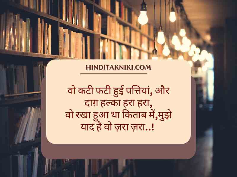 150+ हिंदी में किताबों पर शायरी Shayari On Books In Hindi - Hinditakniki