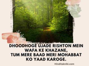 200+ शेर-ओ-स्यारी हिंदी में Sher Shayari In Hindi - Hinditakniki